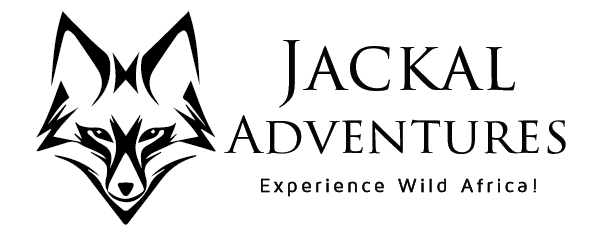 All You Need to Know About Jackal Wild Adventures Ltd in Africa