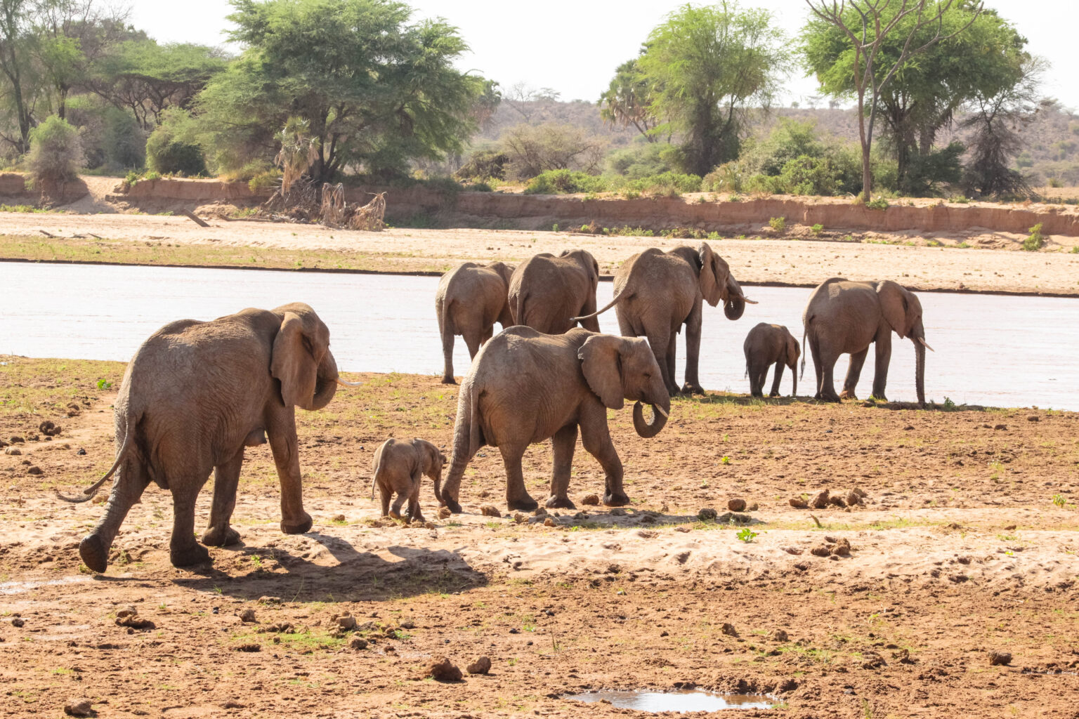 Visit Mikumi National Park for the Big Five